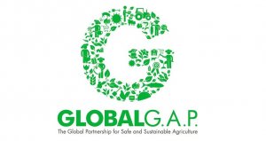 New Global G.A.P. certification | Emblème Canneberge